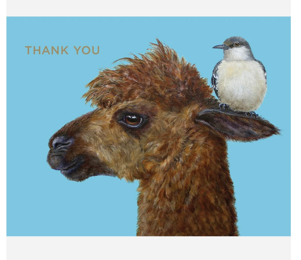 Hester & Cook Thank You Card – Dougal