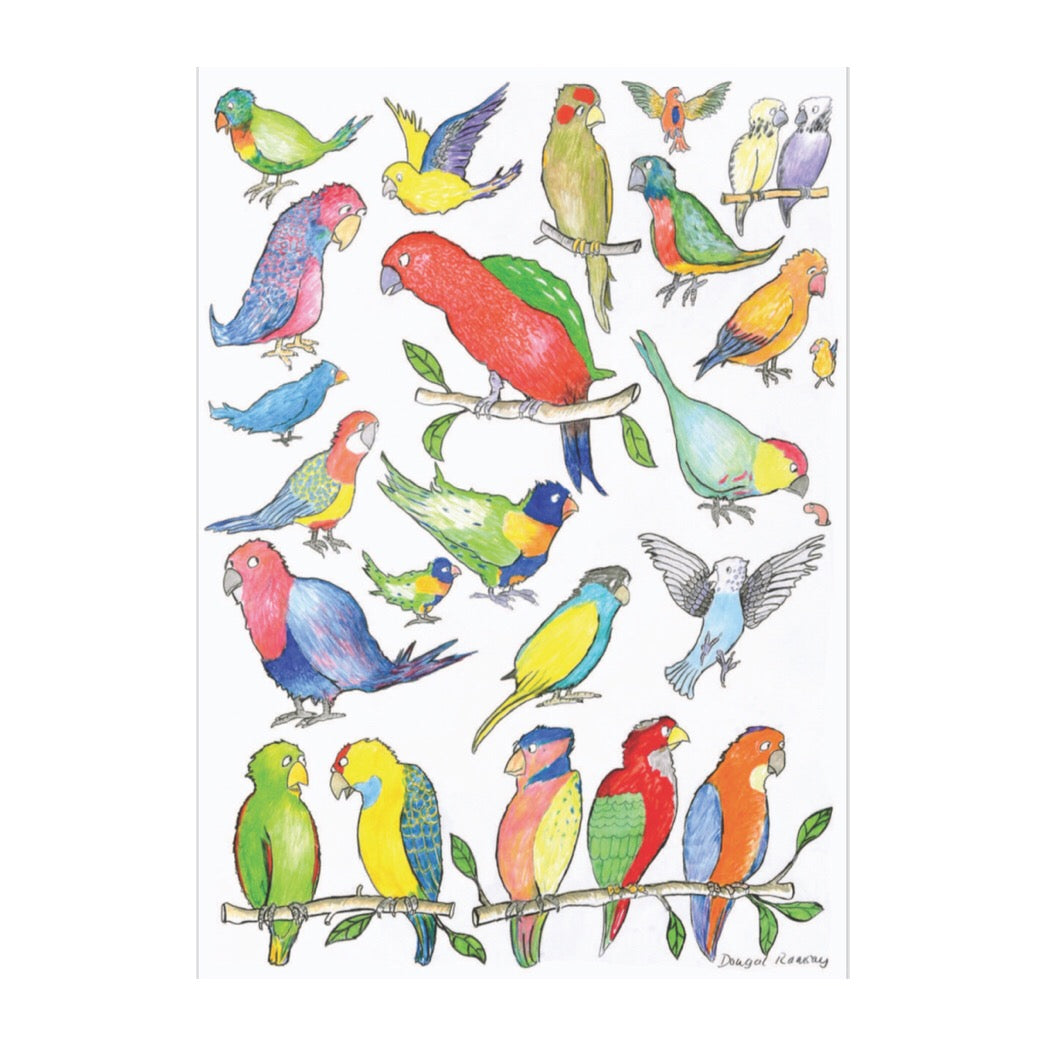 Poster - Rosella – Dougal